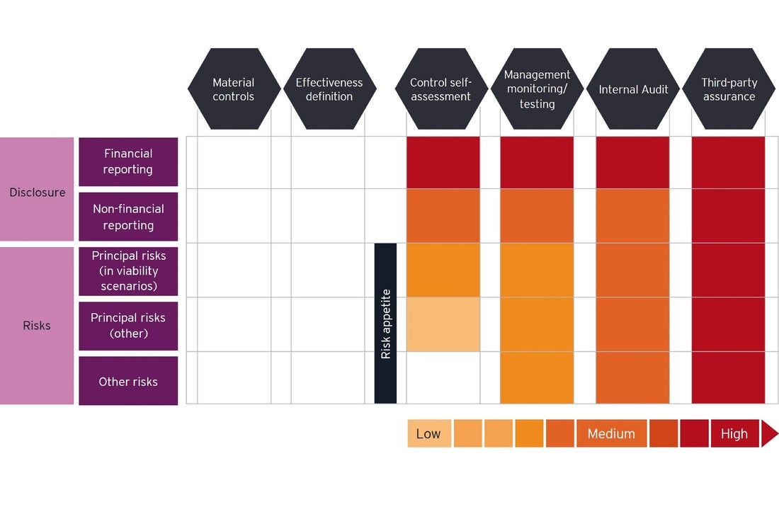 Six steps for risk and internal control reform | EY - UK