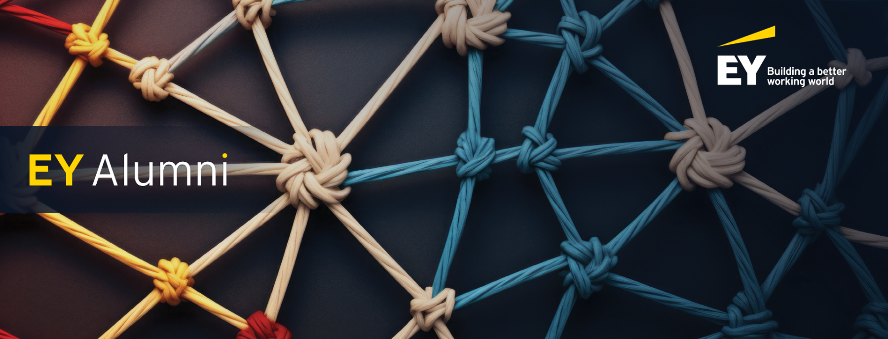 EY Alumni España | EY - España