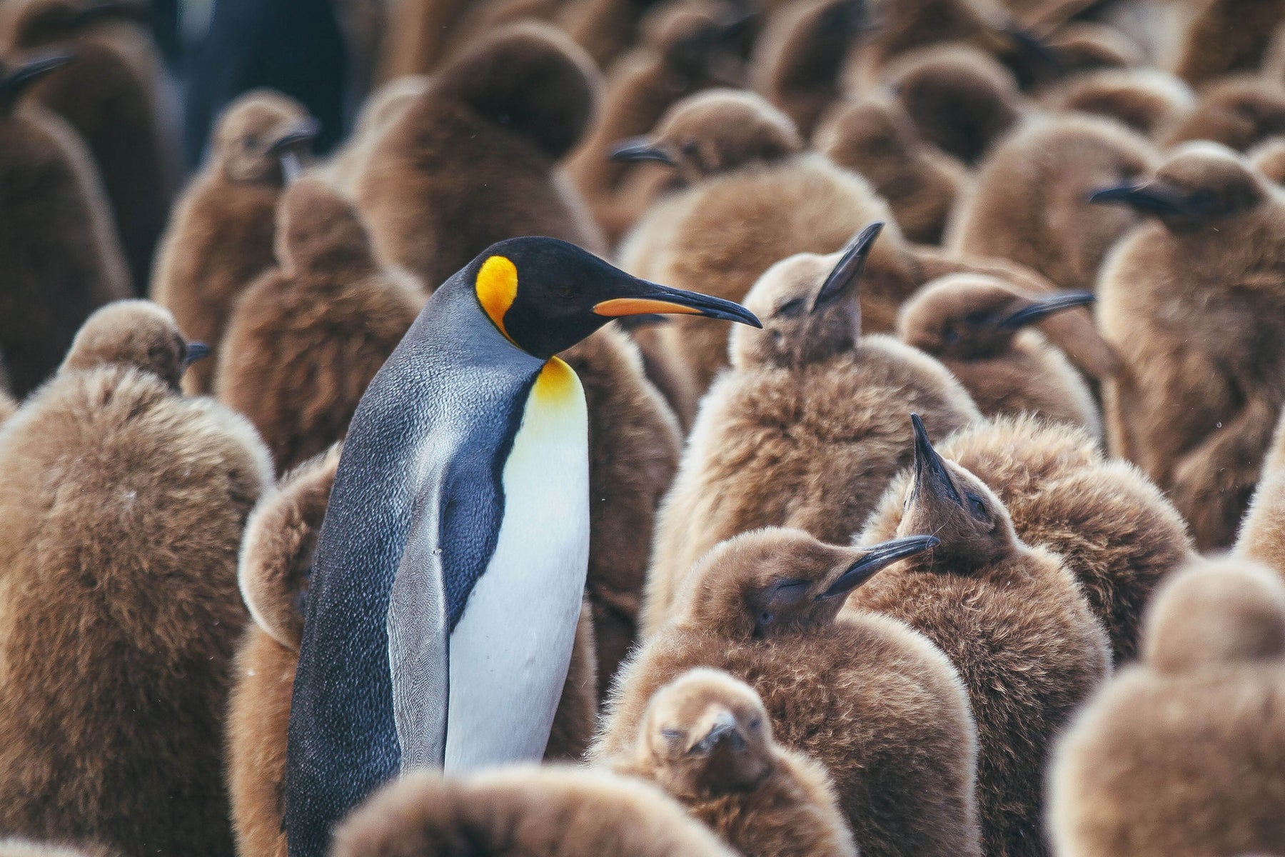 How focusing on KPIs makes micro transformation work | EY - US