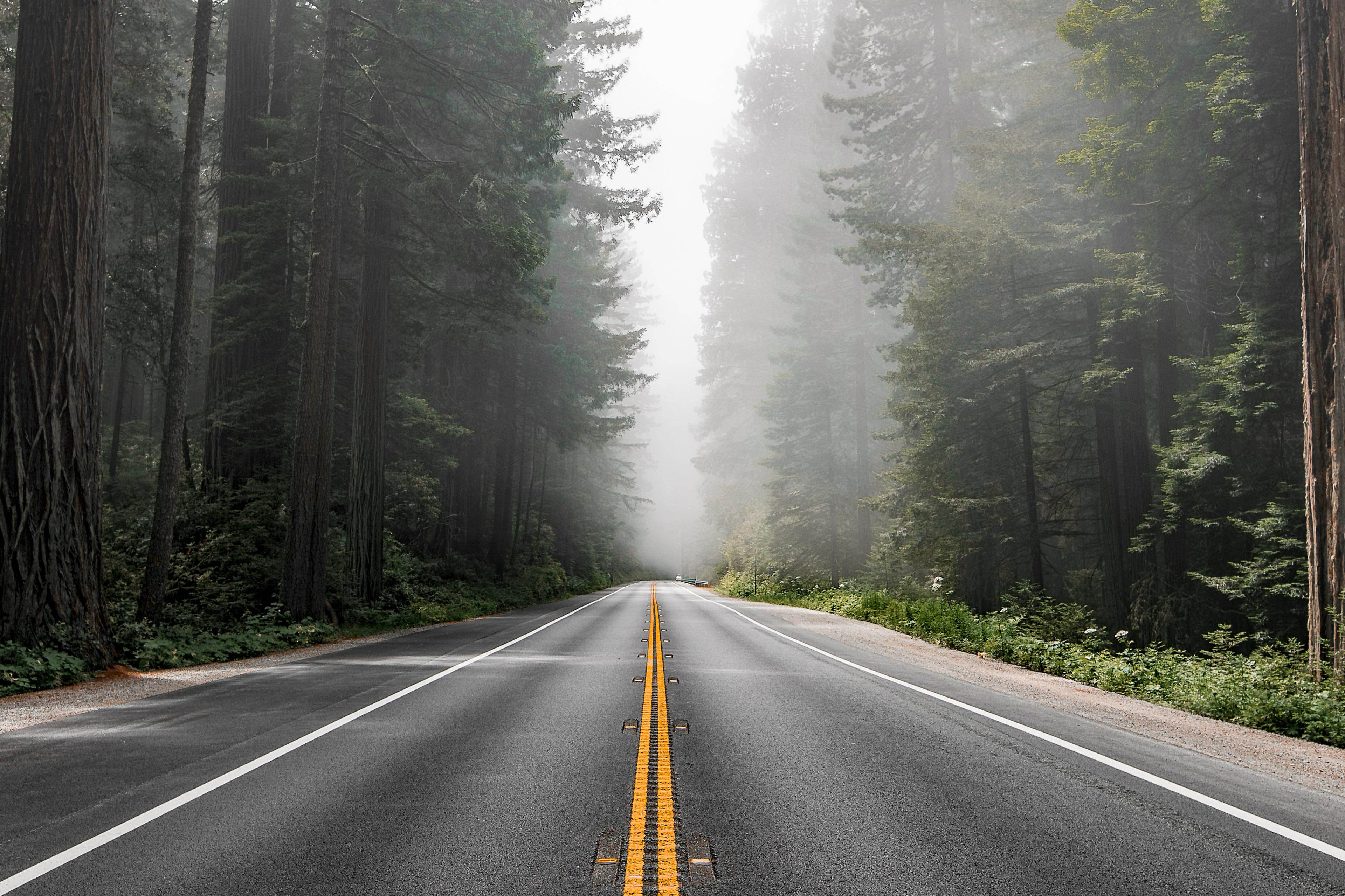 Wegweiser durch das Omnibus-Vereinfachungspaket der EU | EY Schweiz