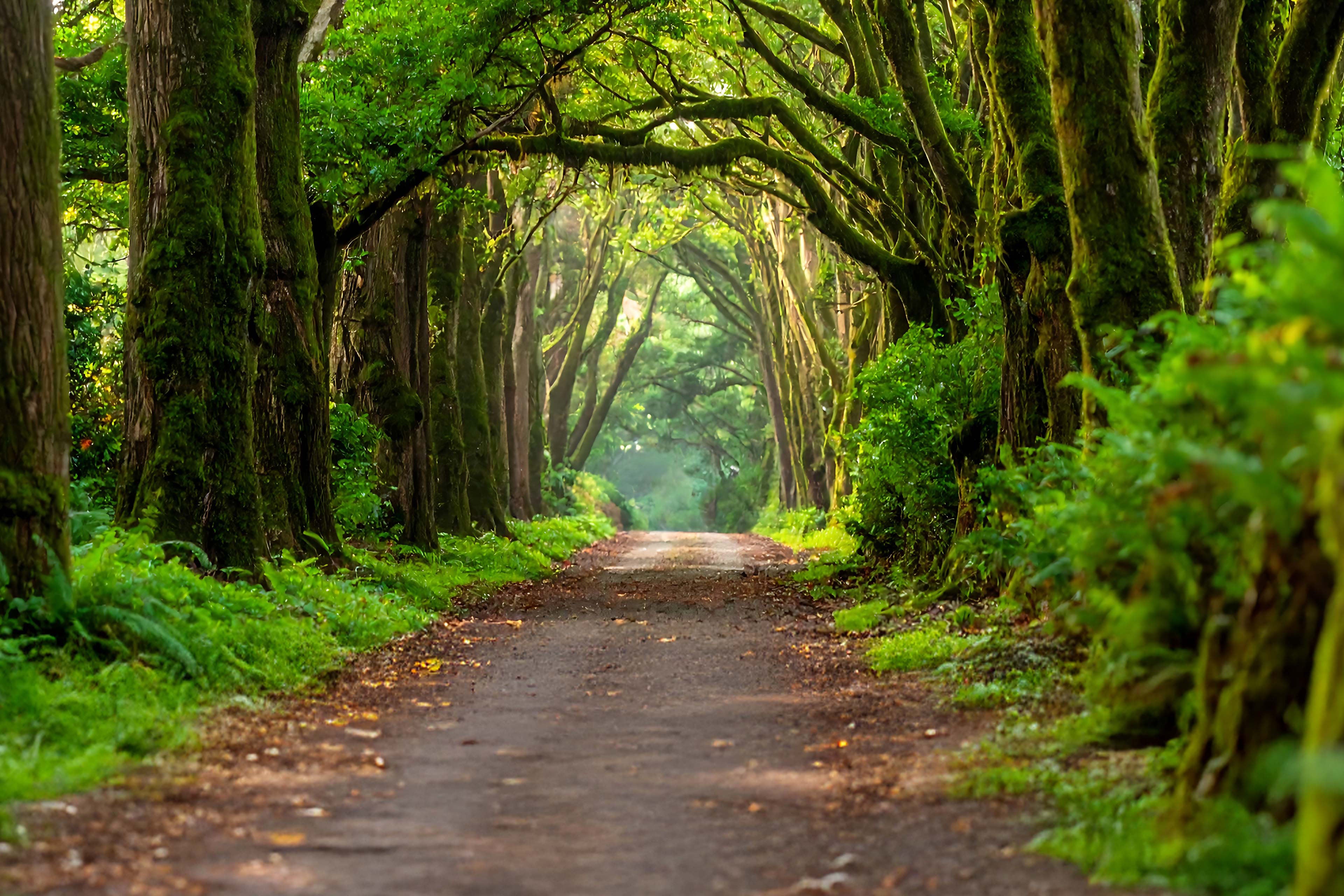 Enterprise Reimaginedᵀᴹ: build a clear path to value creation | EY - US