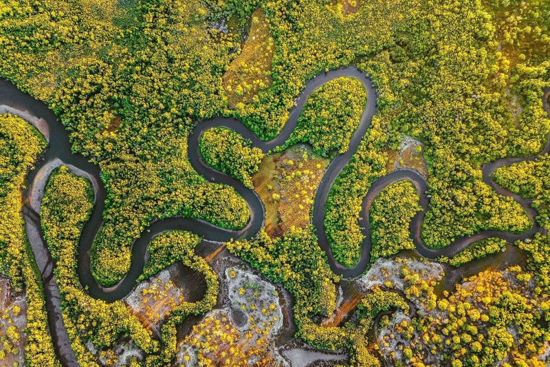 EU’s Omnibus Proposal: Key changes to the CSRD, CS3D and Taxonomy | EY ...