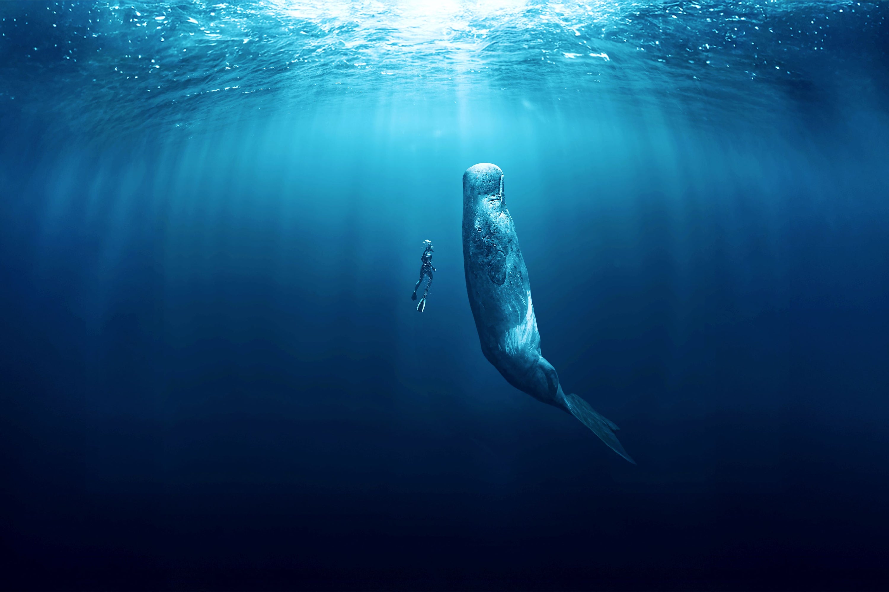 EY Total Reporting | EY - UK