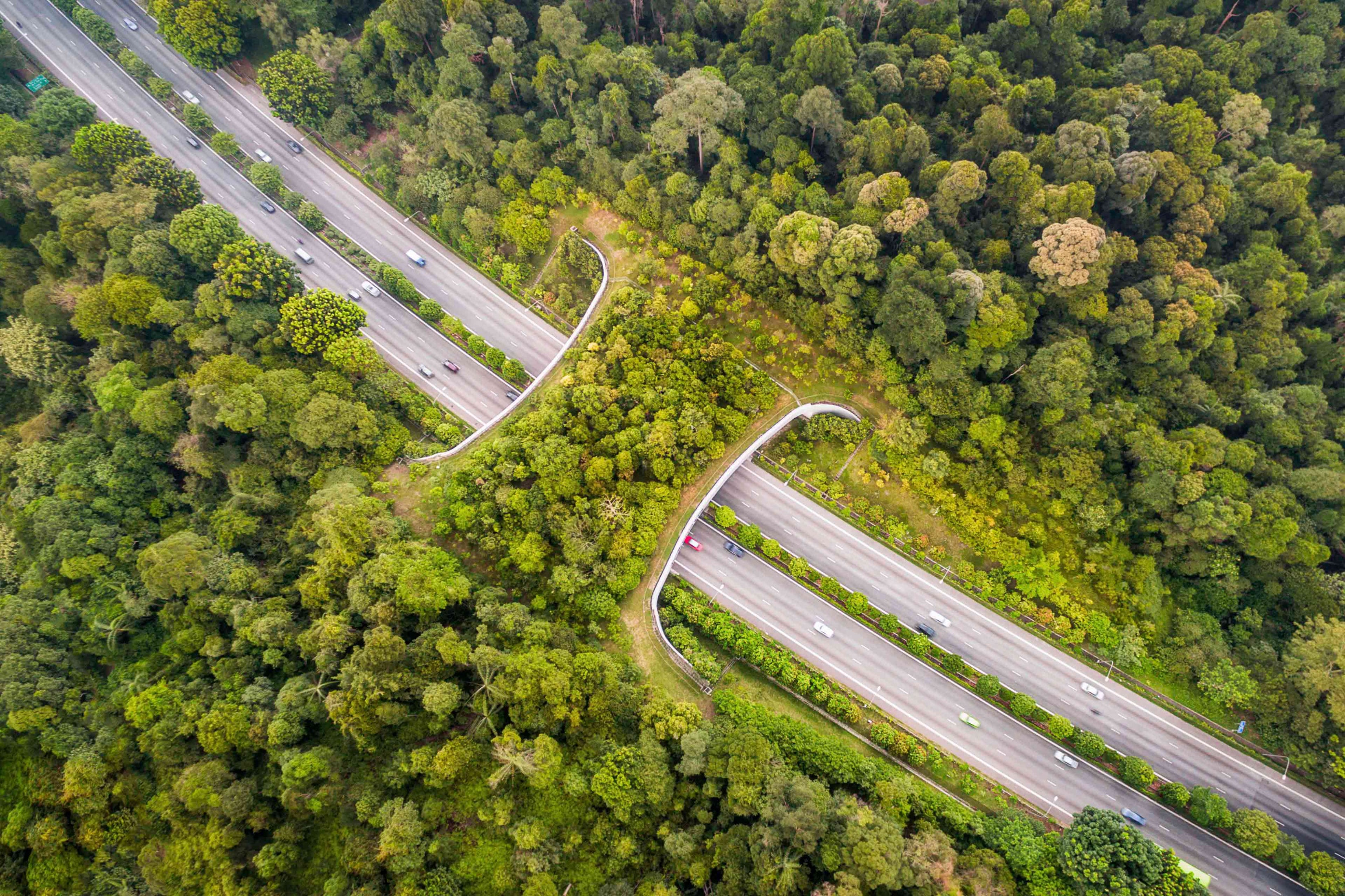 主要国におけるBEPS2.0① GloBEルール各国動向に対応できる体制構築 | EY Japan