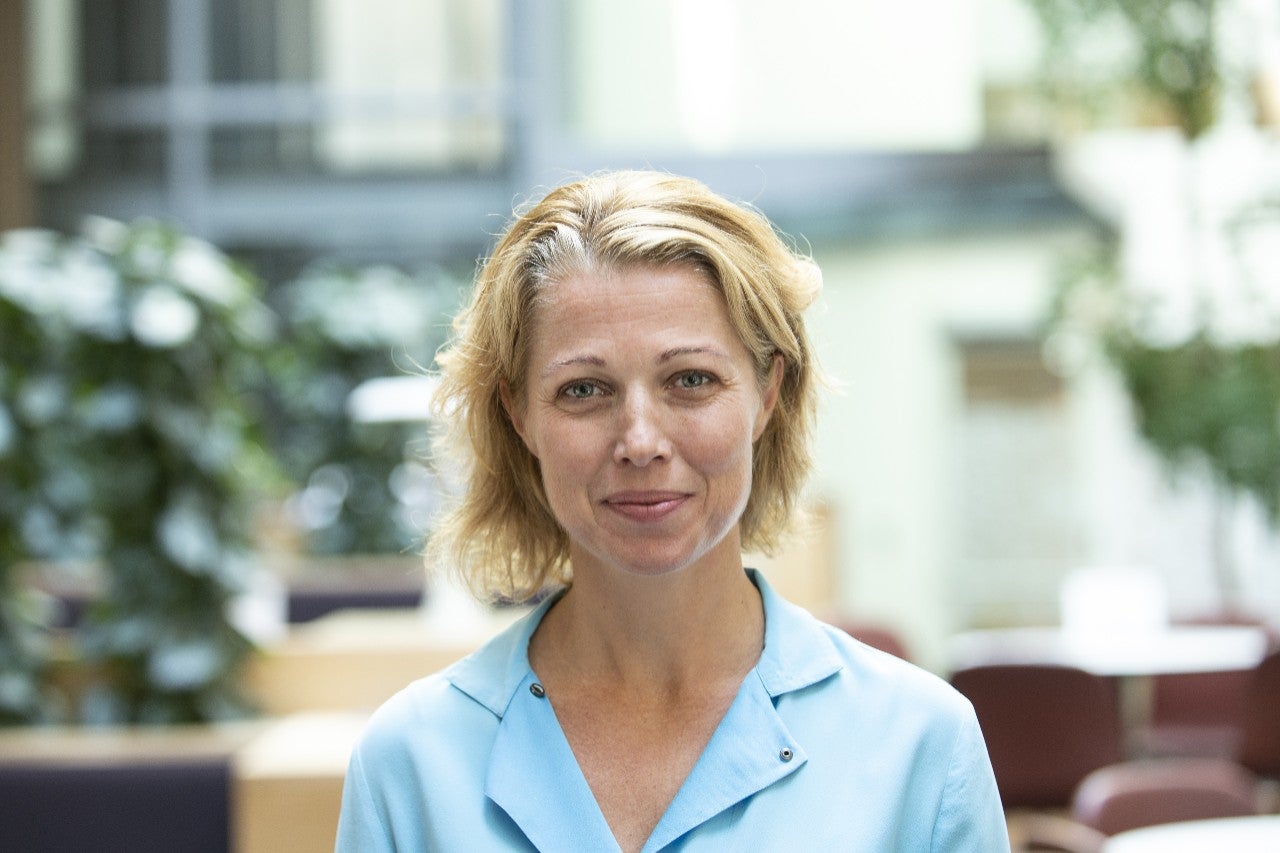 Transparent and predictable working conditions in the EU | EY - Global
