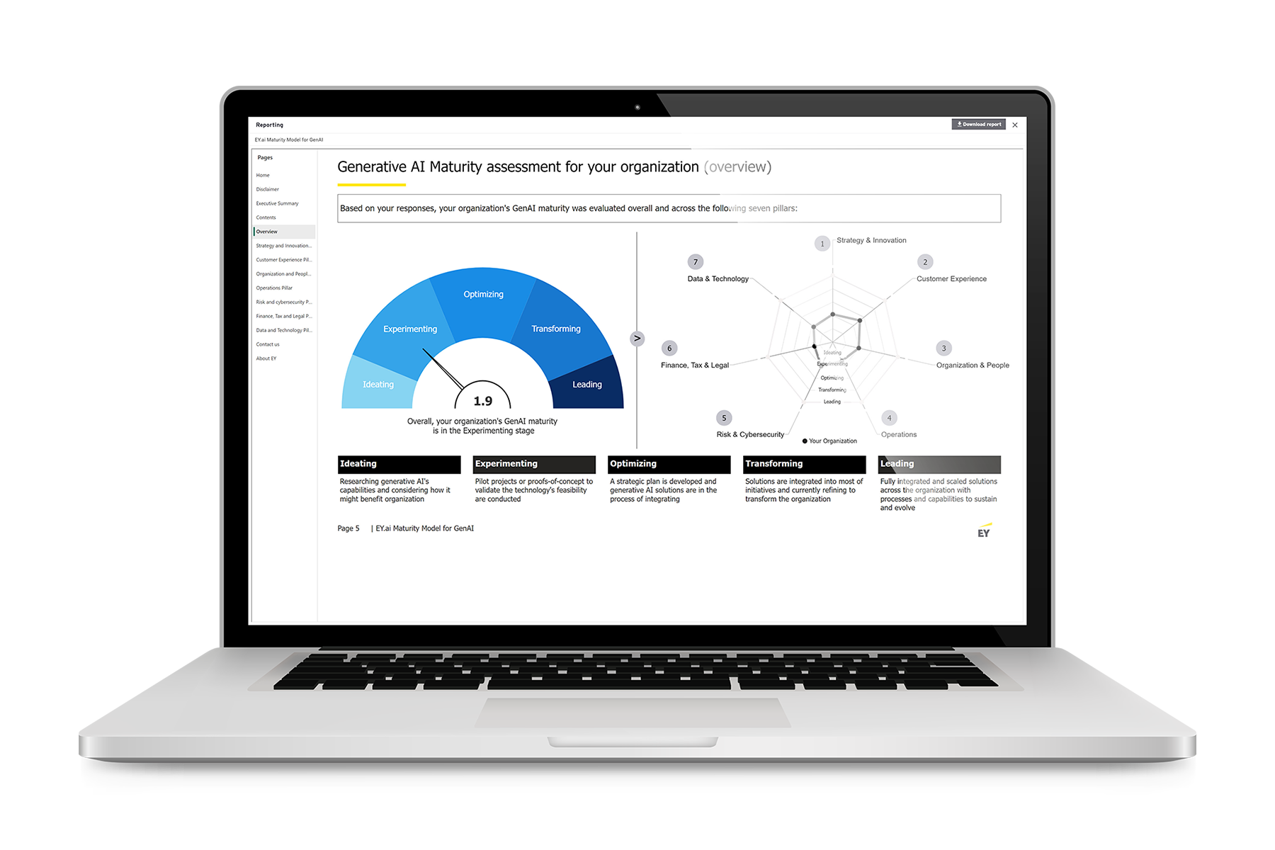 EY Assess: Maturity Assessment Tool for Digital, Cybersecurity, Risk ...
