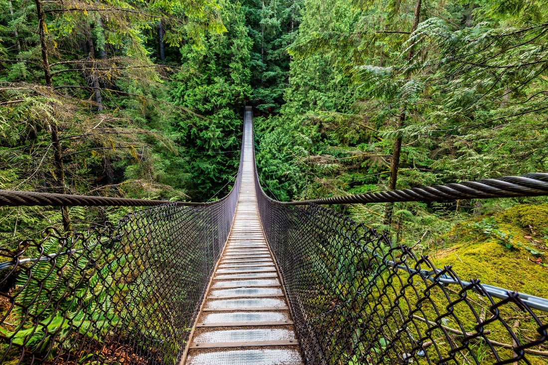 Regenerative principles to unlock a sustainable future | EY - Global