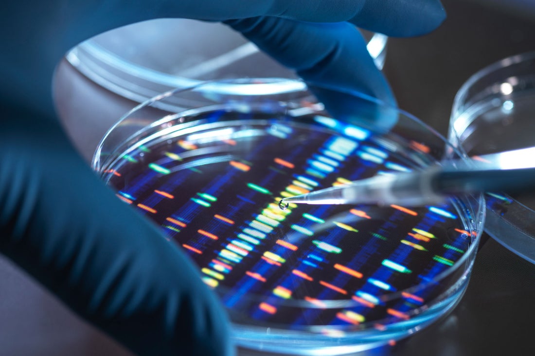 Worldwide R&D Incentives Reference Guide 2025 | EY - Global