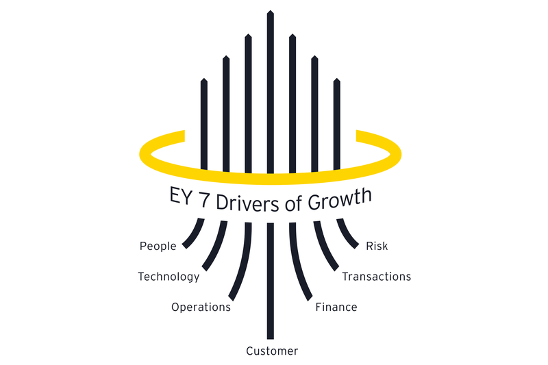 EY 7 Drivers of Growth framework | EY - US