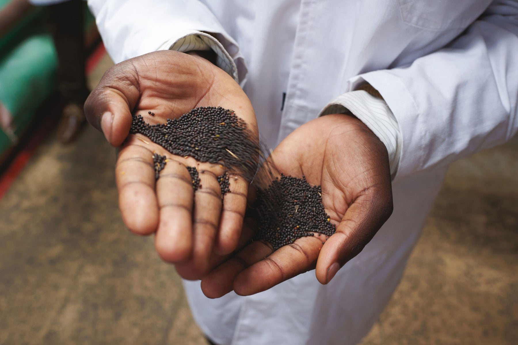 How Bayer is unearthing agronomy's future with GenAI | EY - US