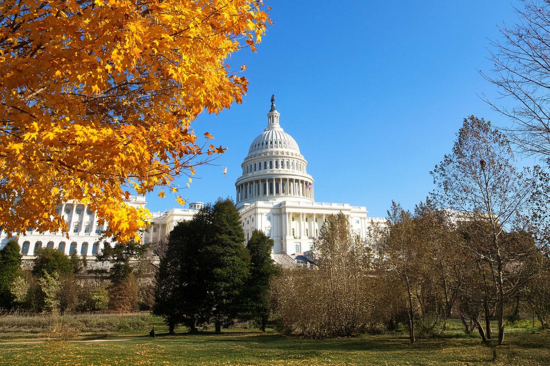 Trump's second term and cross-border businesses | EY - Global