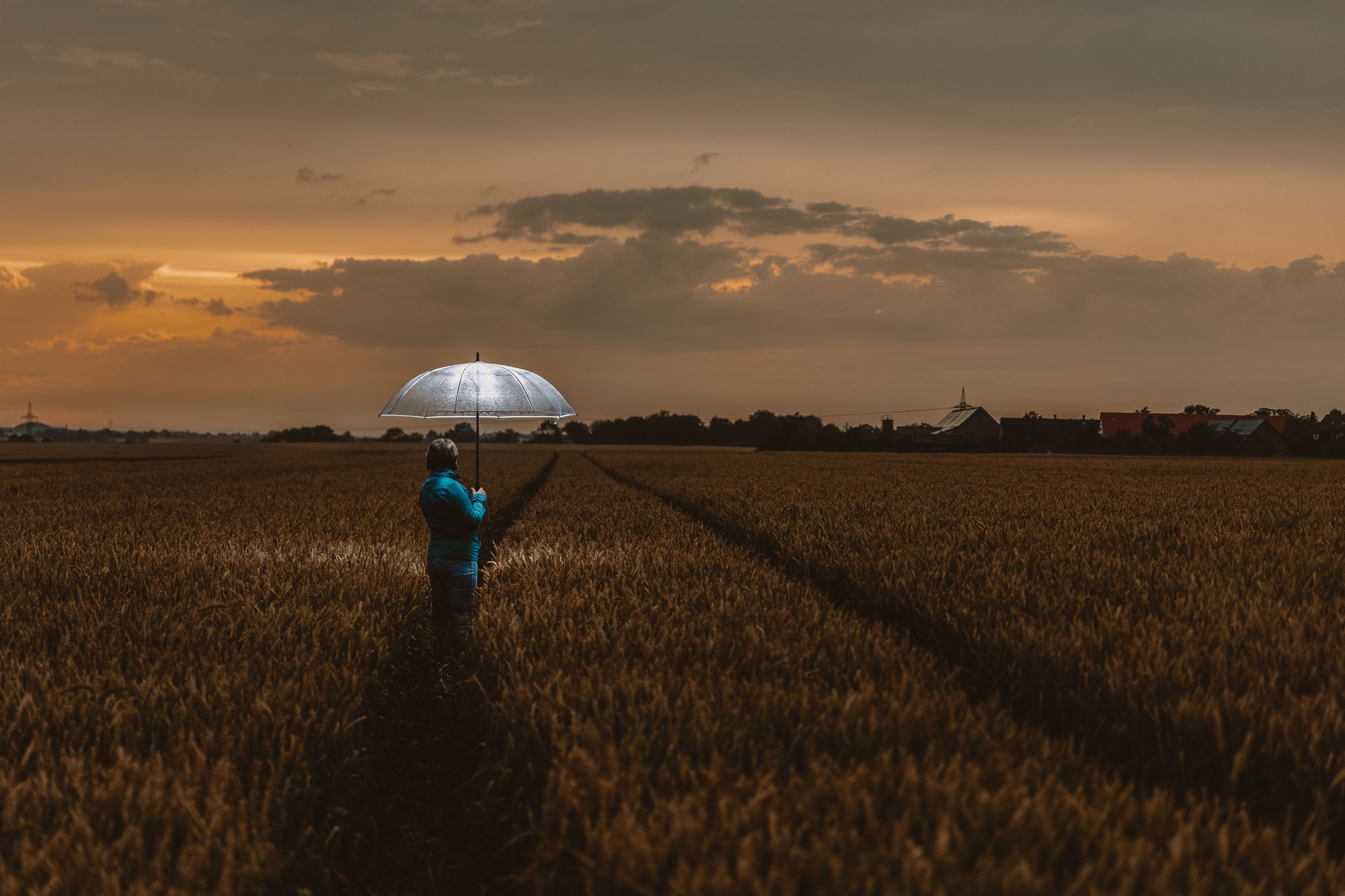 2024 Foreign direct investment trends in Europe | EY - Global