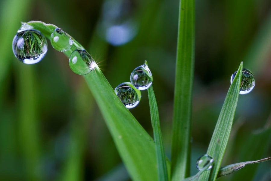 Transparency Report | EY - MENA