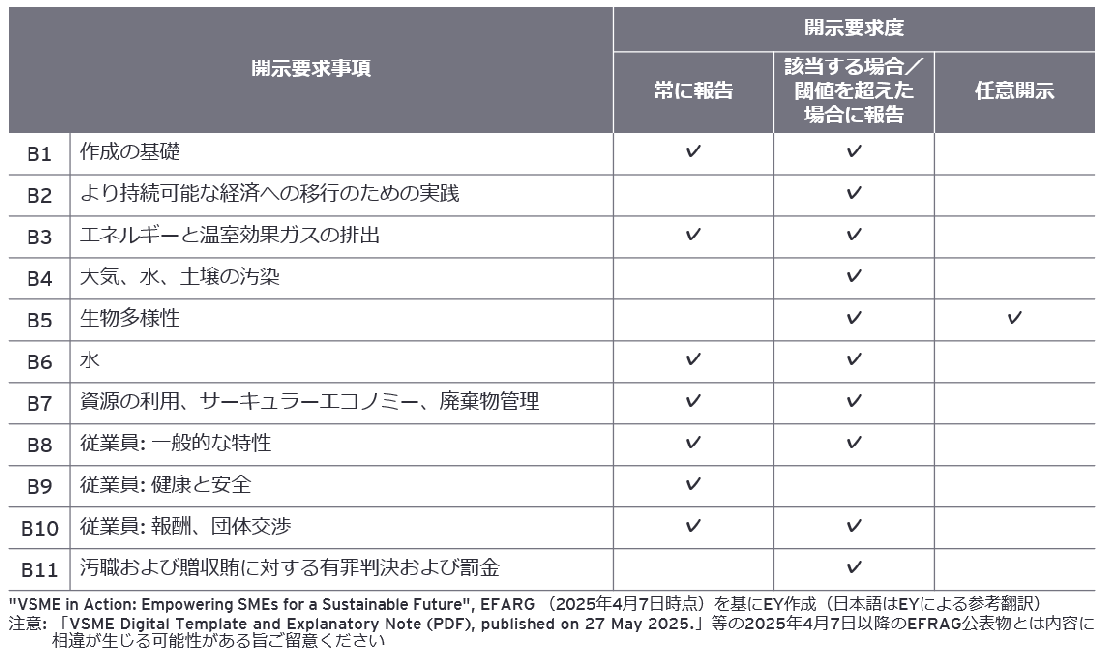 VSMEの概要と“ポストオムニバス”におけるEU子会社のCSRD対応オプション | EY Japan