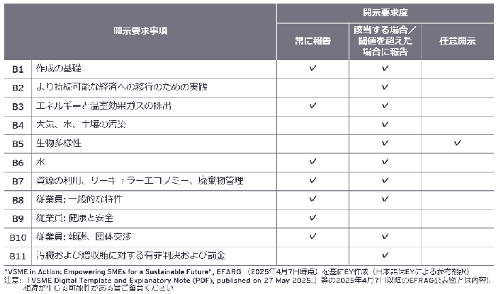 VSMEの概要と“ポストオムニバス”におけるEU子会社のCSRD対応オプション | EY Japan