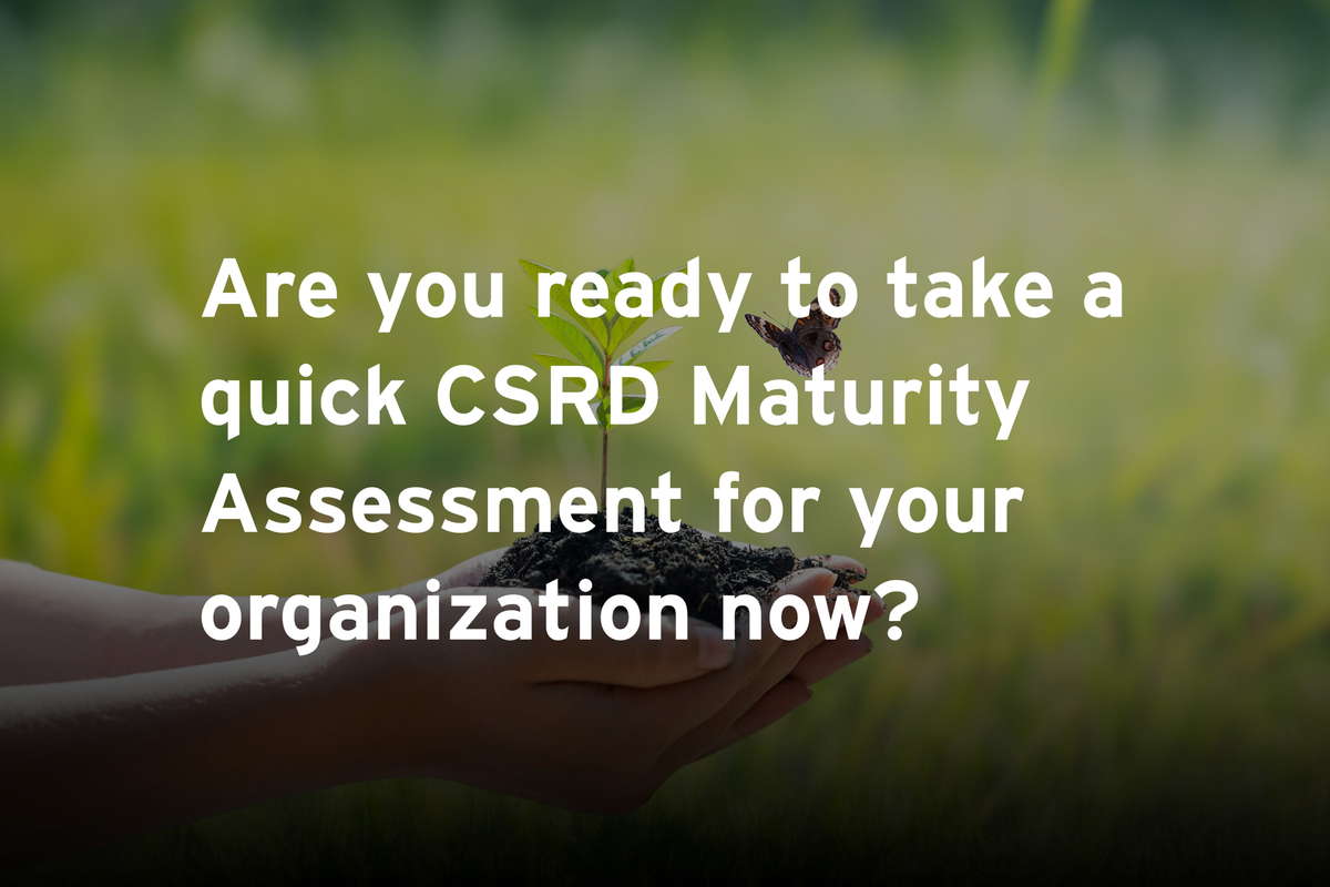 CSRD Maturity Assessment Services at EY | EY - India