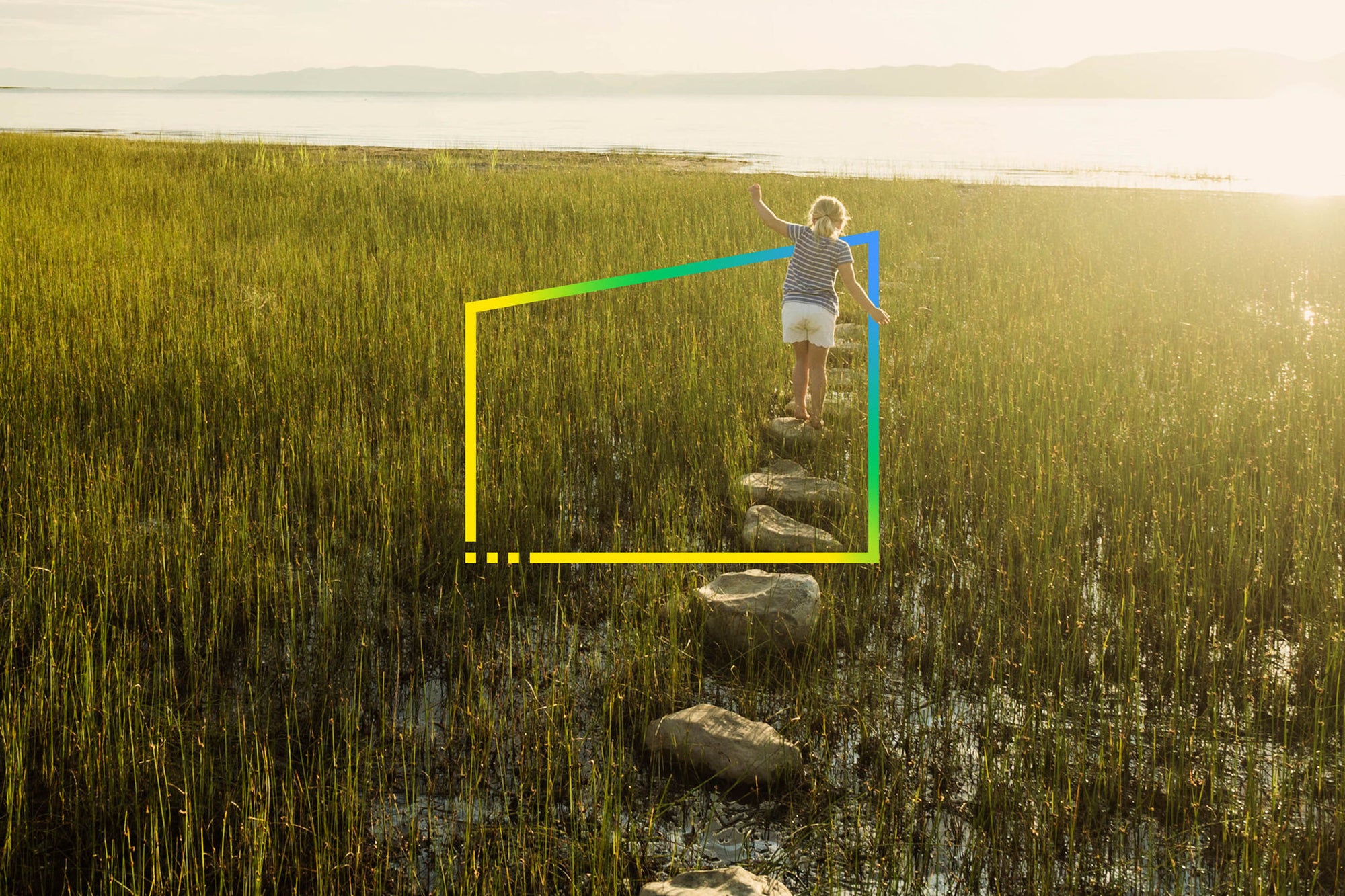 Value Reporting | EY - Global