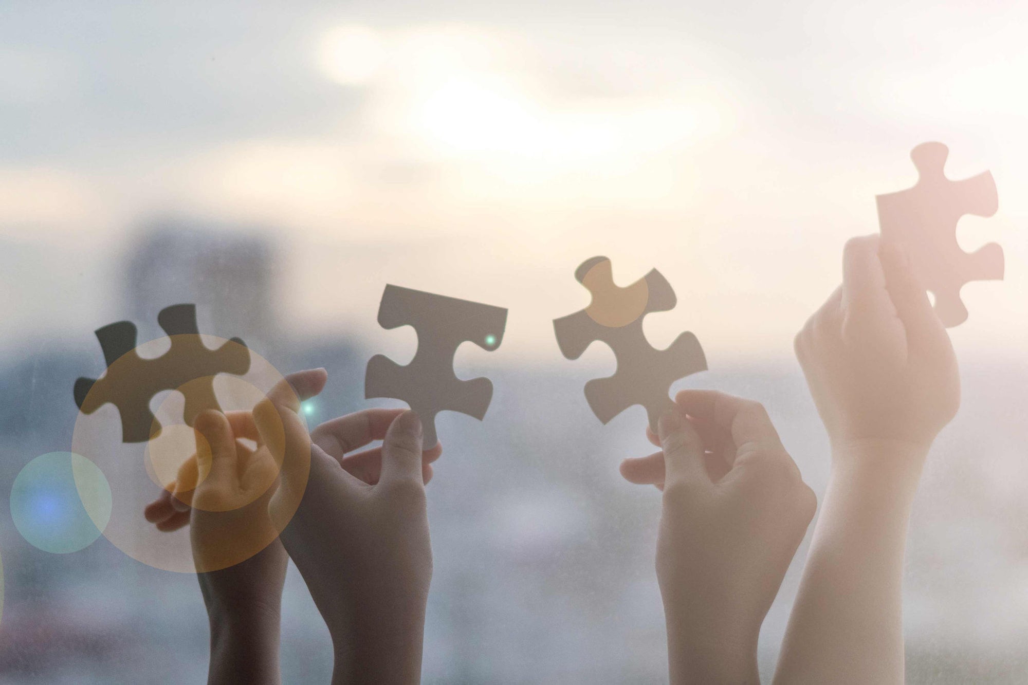 Forensic＆Integrity Services | EY Japan