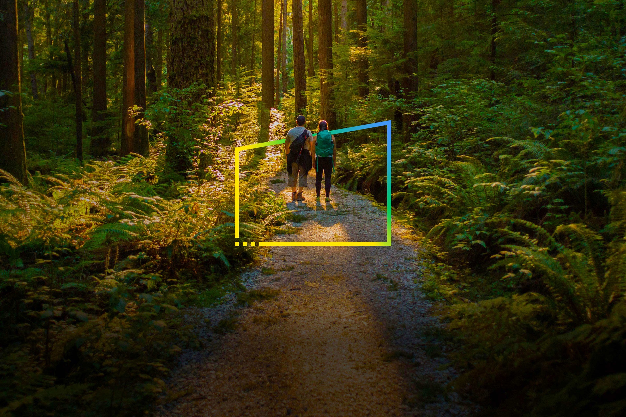 EY - Canada | Shape the future with confidence