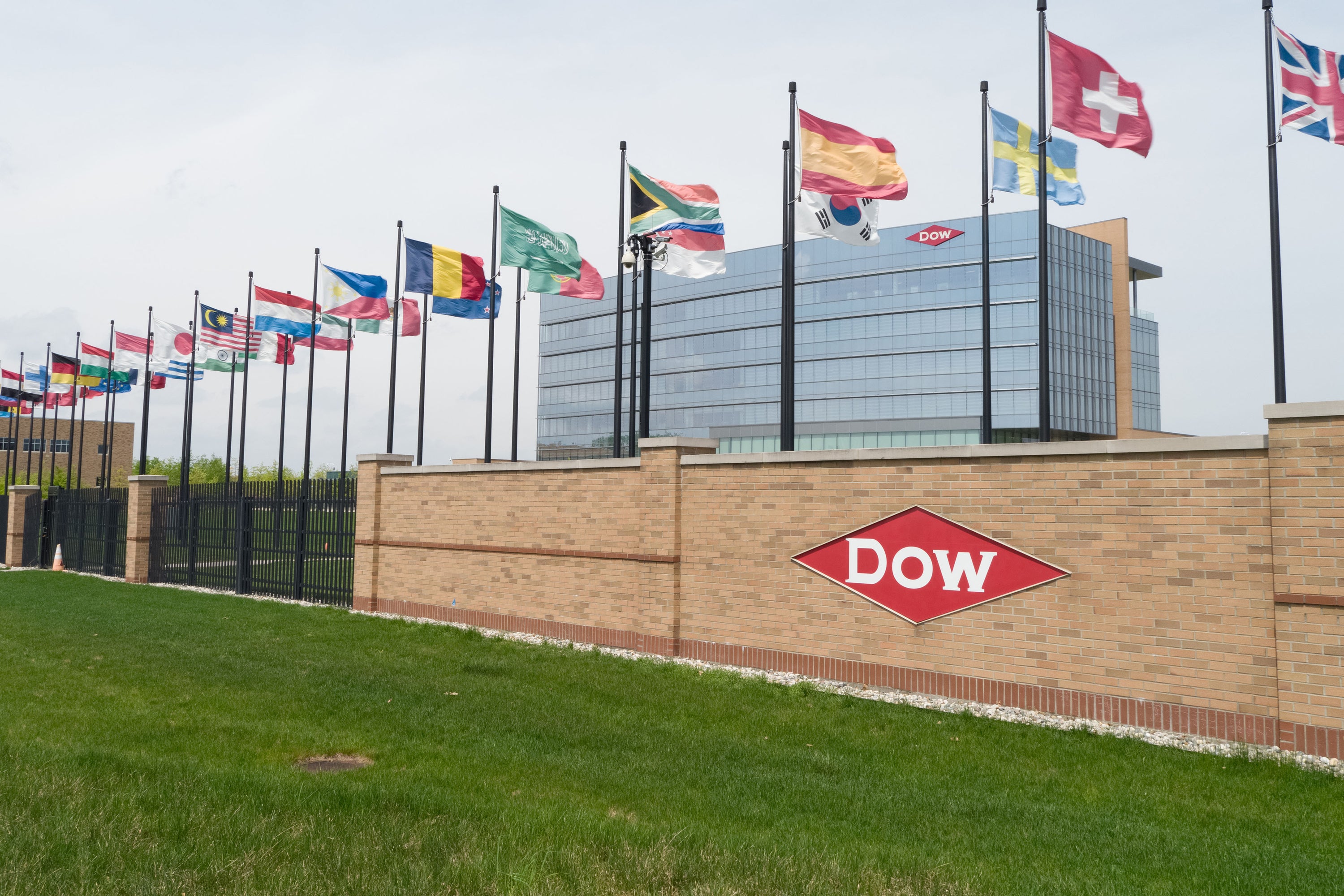 Case study: Dow pioneers a customer experience program | EY - US