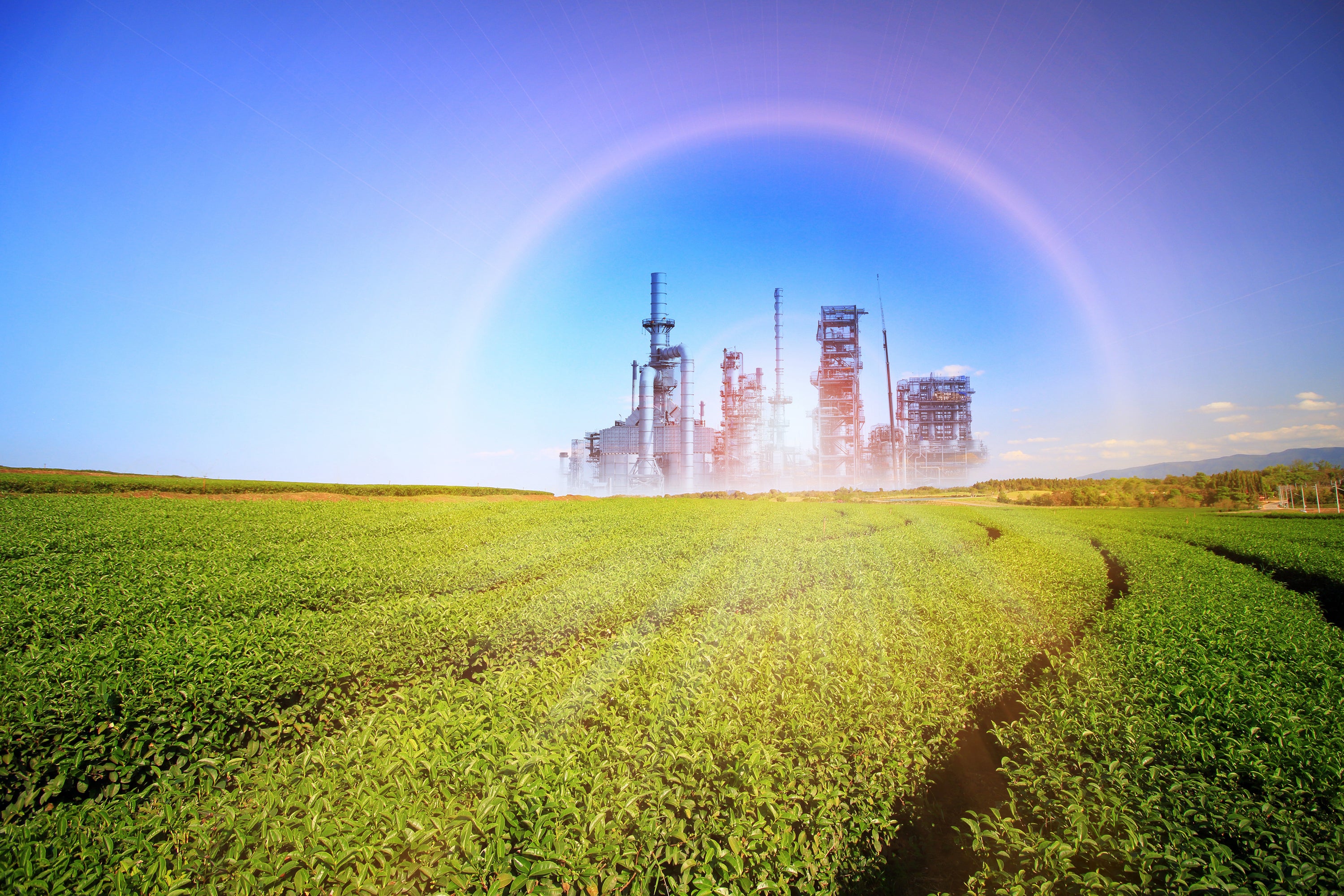 India's green manufacturing revolution - EY India Latest Insights | EY ...