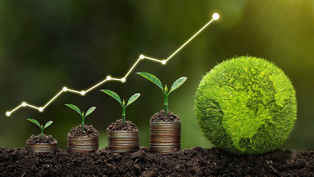 Tax policy as a catalyst for sustainable decarbonization | EY - India