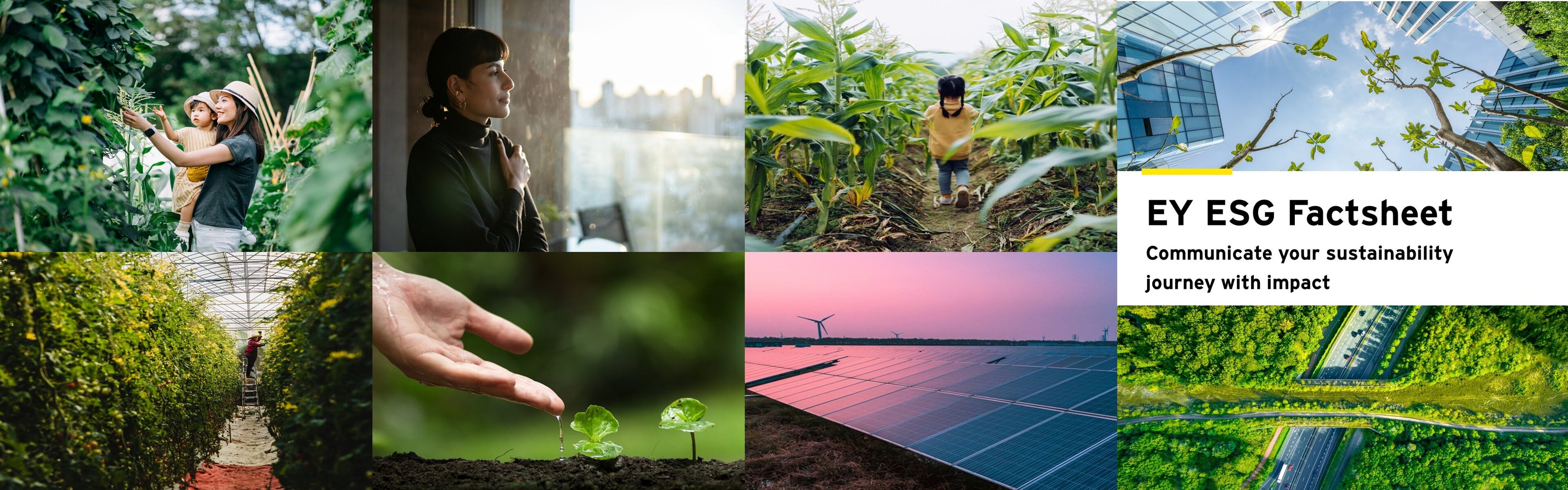 EY ESG Factsheet: Navigate climate change | EY - India