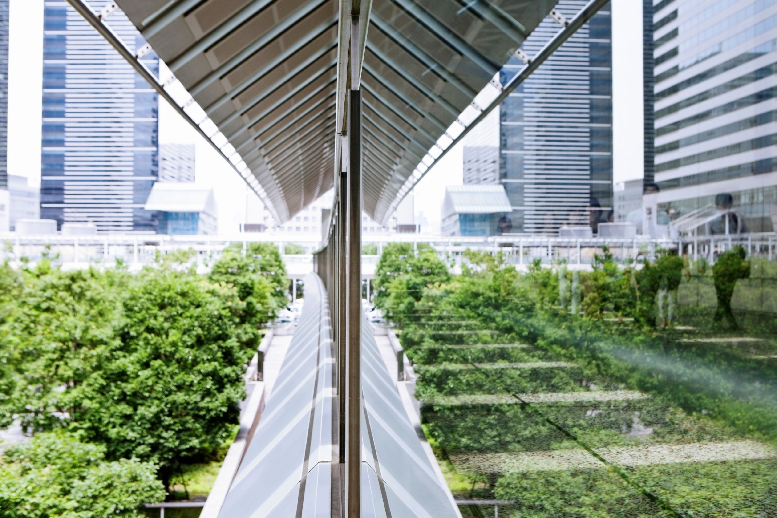 Climate change & sustainability services | EY - Canada