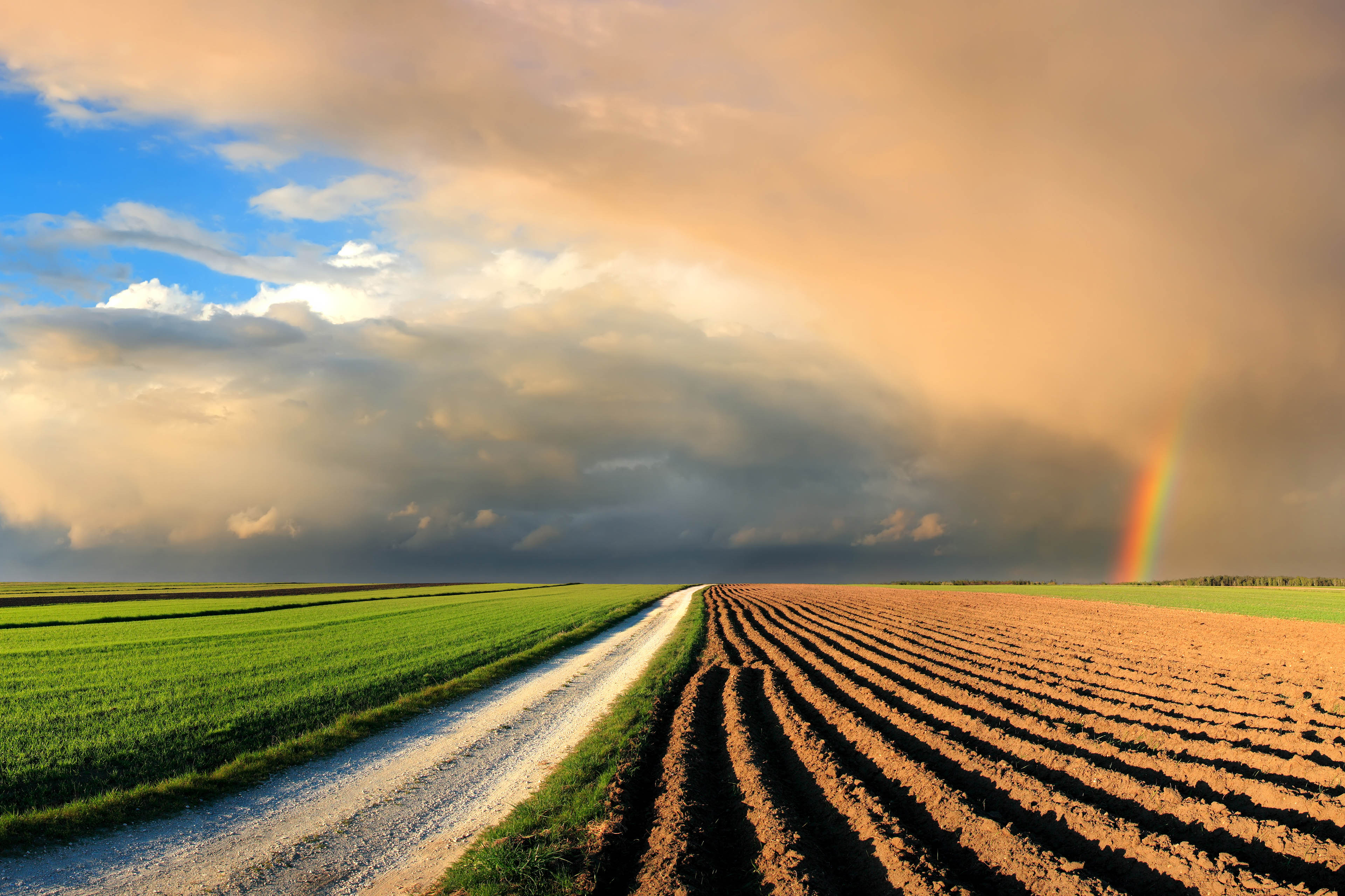 Improve your forecasting and scenario planning | EY - Global