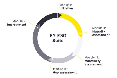 Sustainability reporting and assurance services | EY - Global