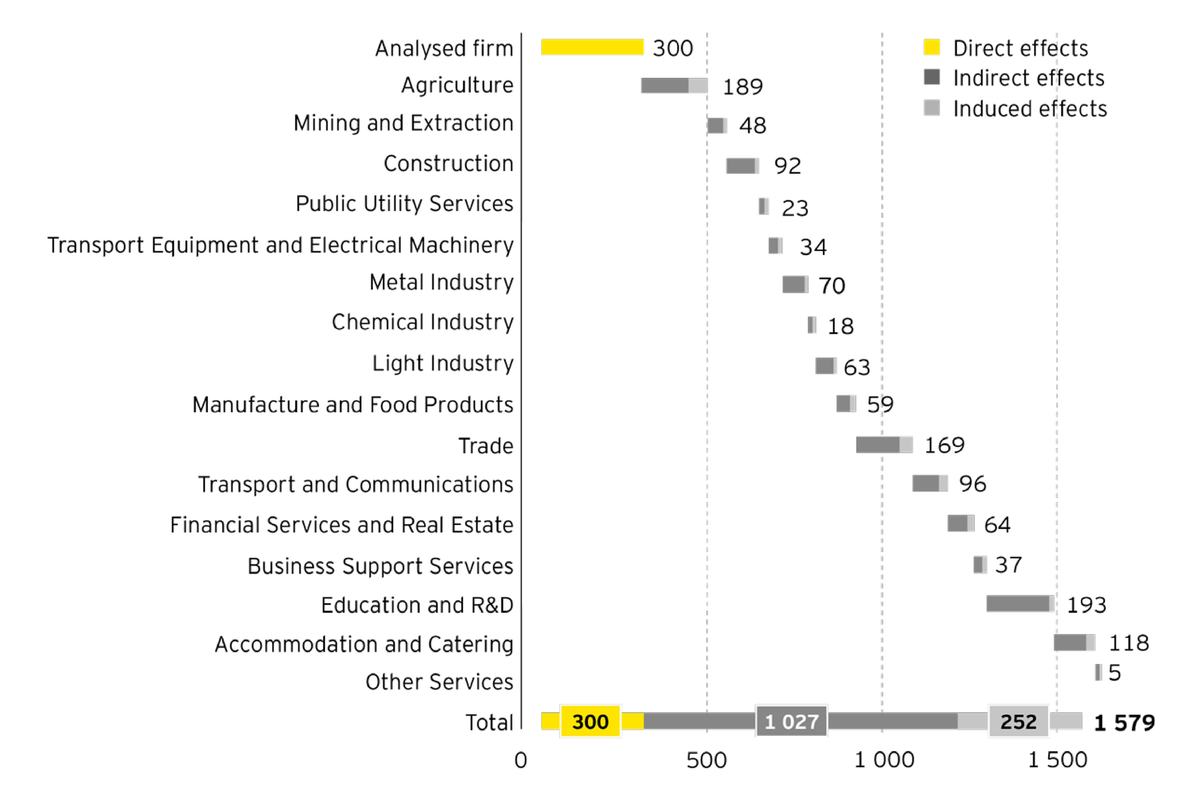 Economic Impact Assessment | EY - Global