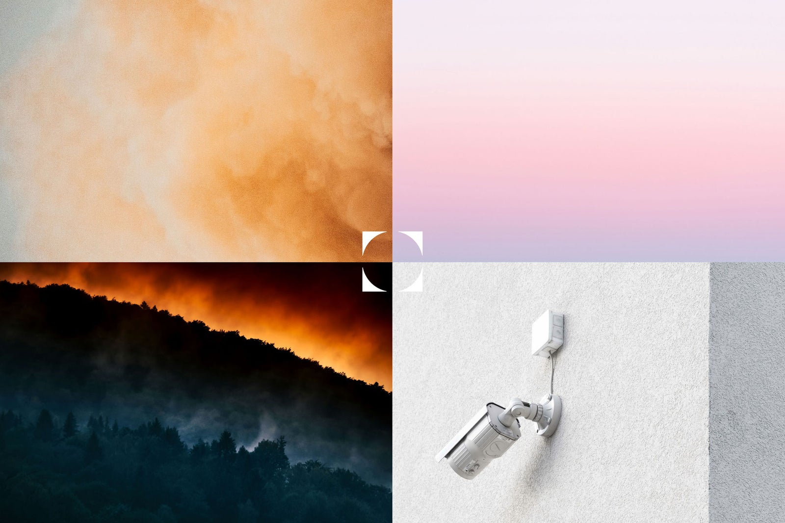 EY - Global | Shape the future with confidence.