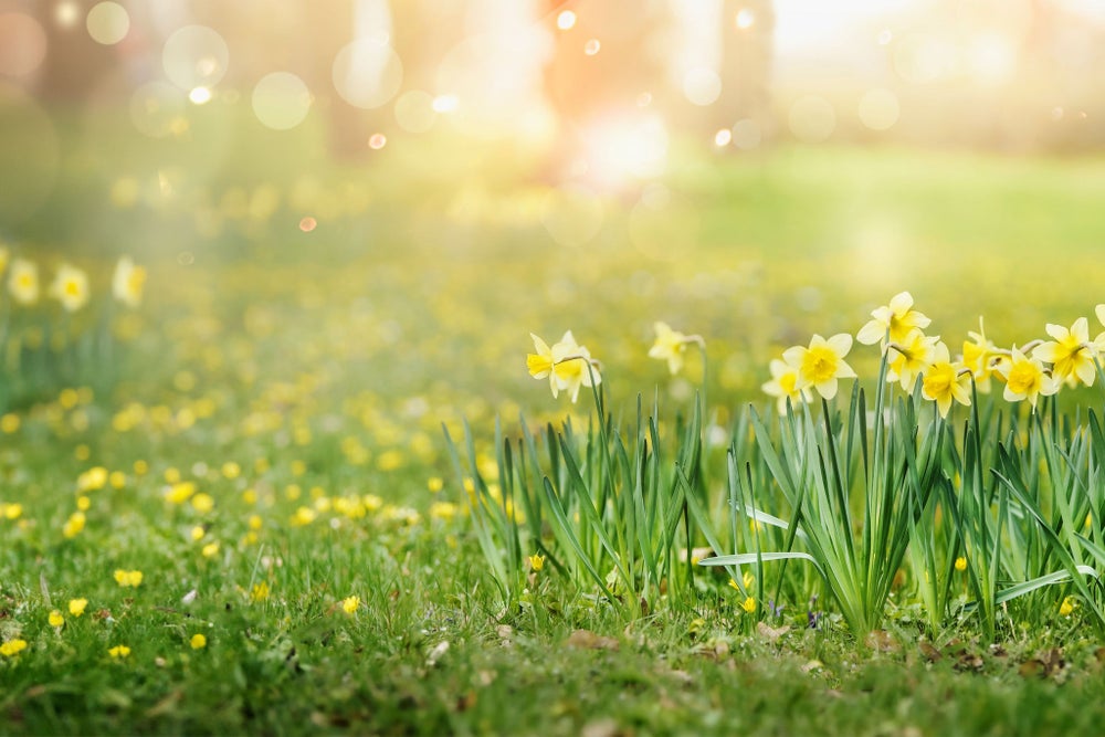 EY Tax & Law Days 2025 | Eschborn 18. März 2025 | EY - Deutschland