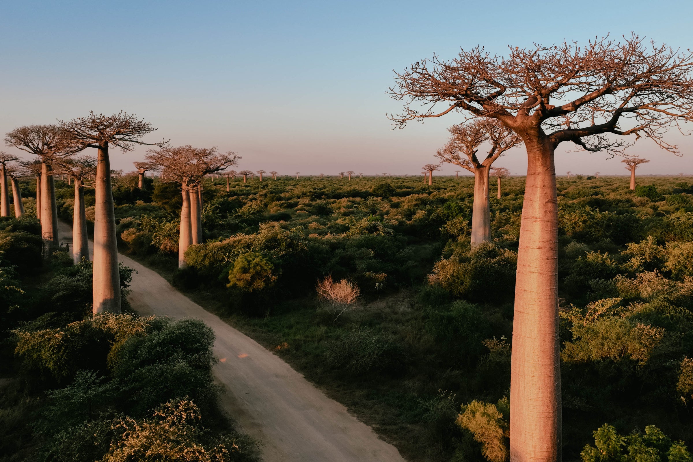 Excellence in Integrated Reporting Awards 2025 | EY - South Africa