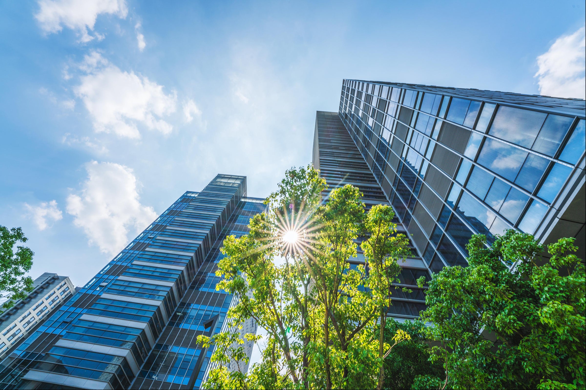 How the world’s 500 largest family enterprises rank | EY - Global