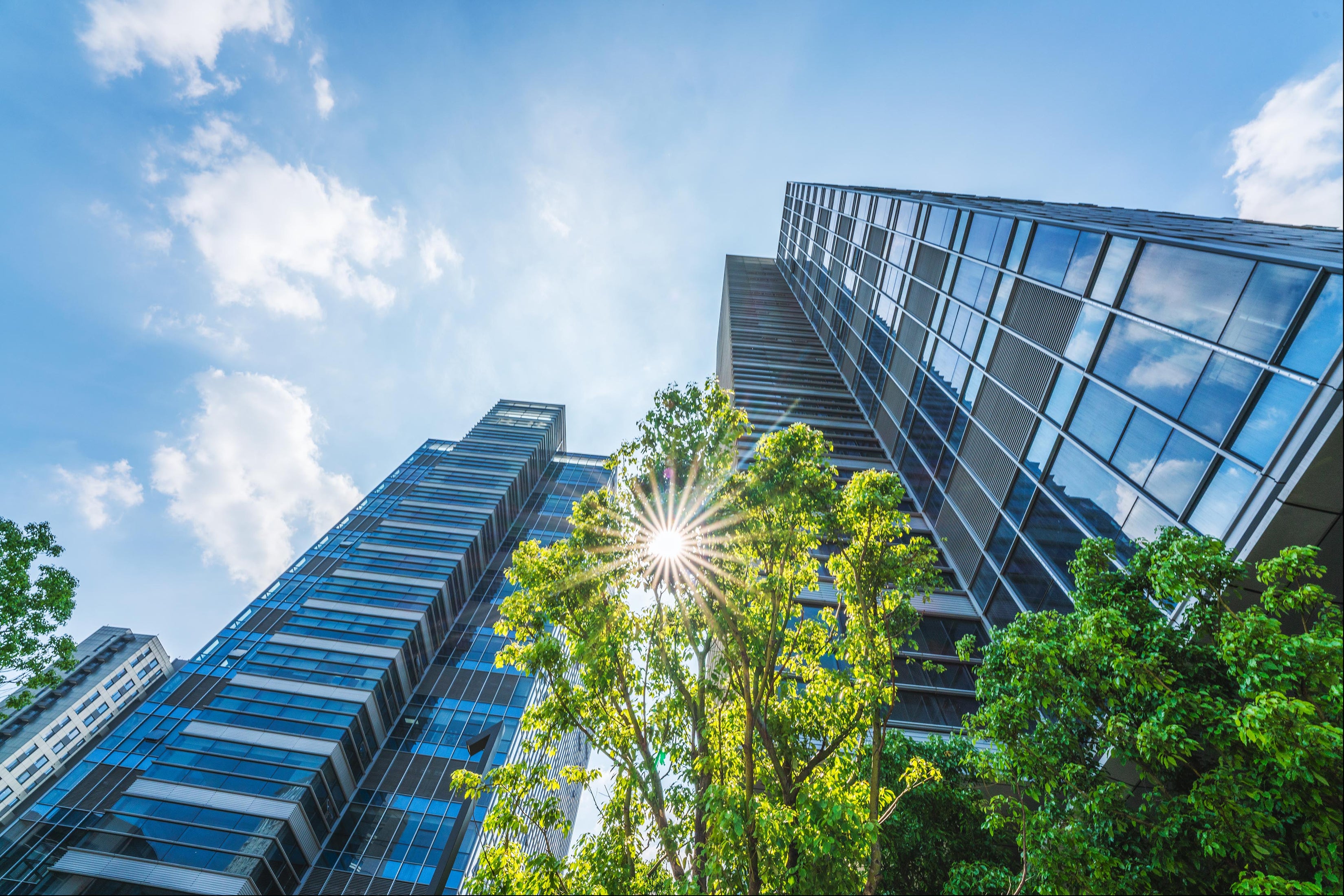 How the world’s 500 largest family enterprises rank | EY - UK