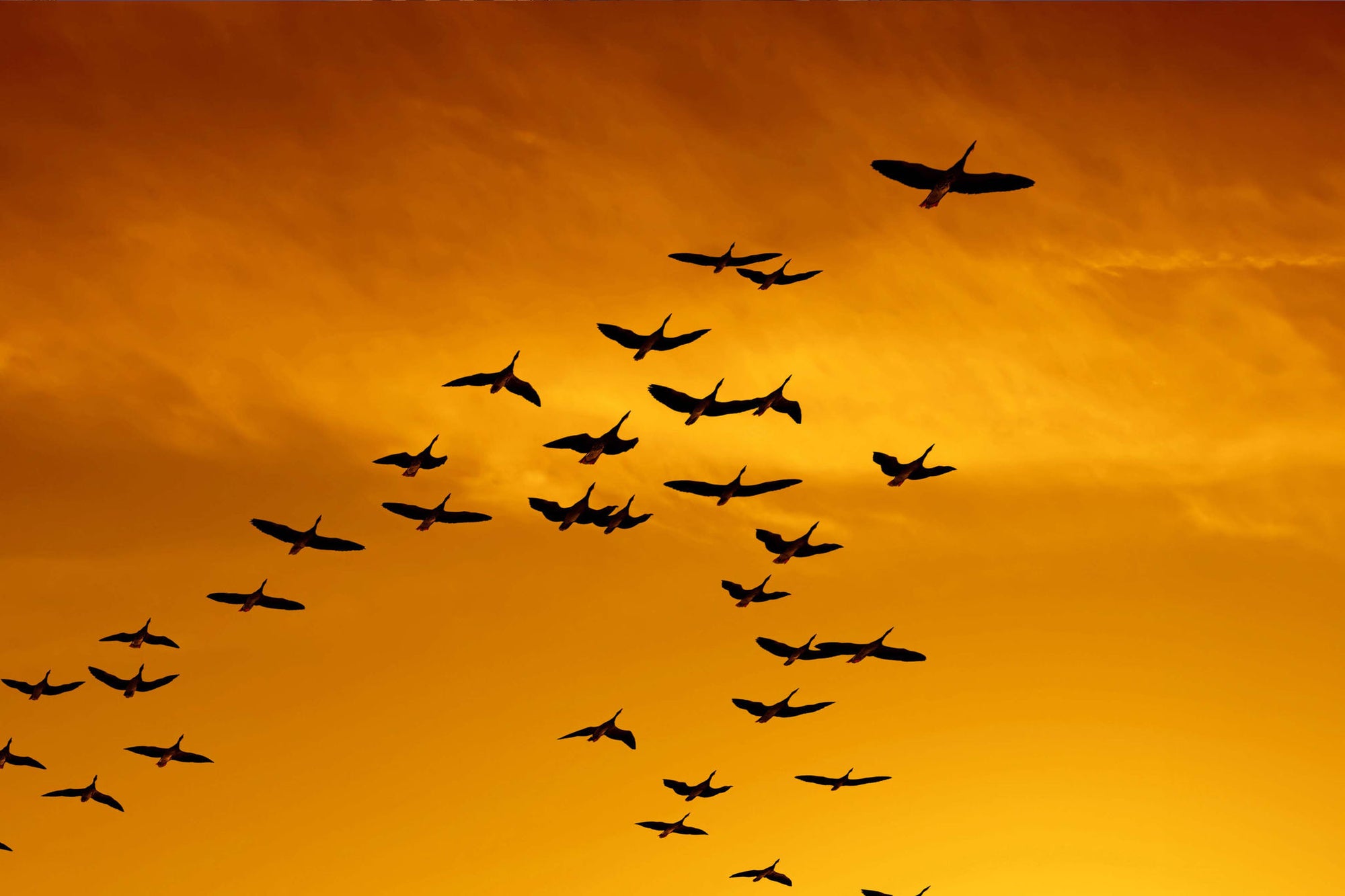 Entrepreneurs Access Network | EY - US