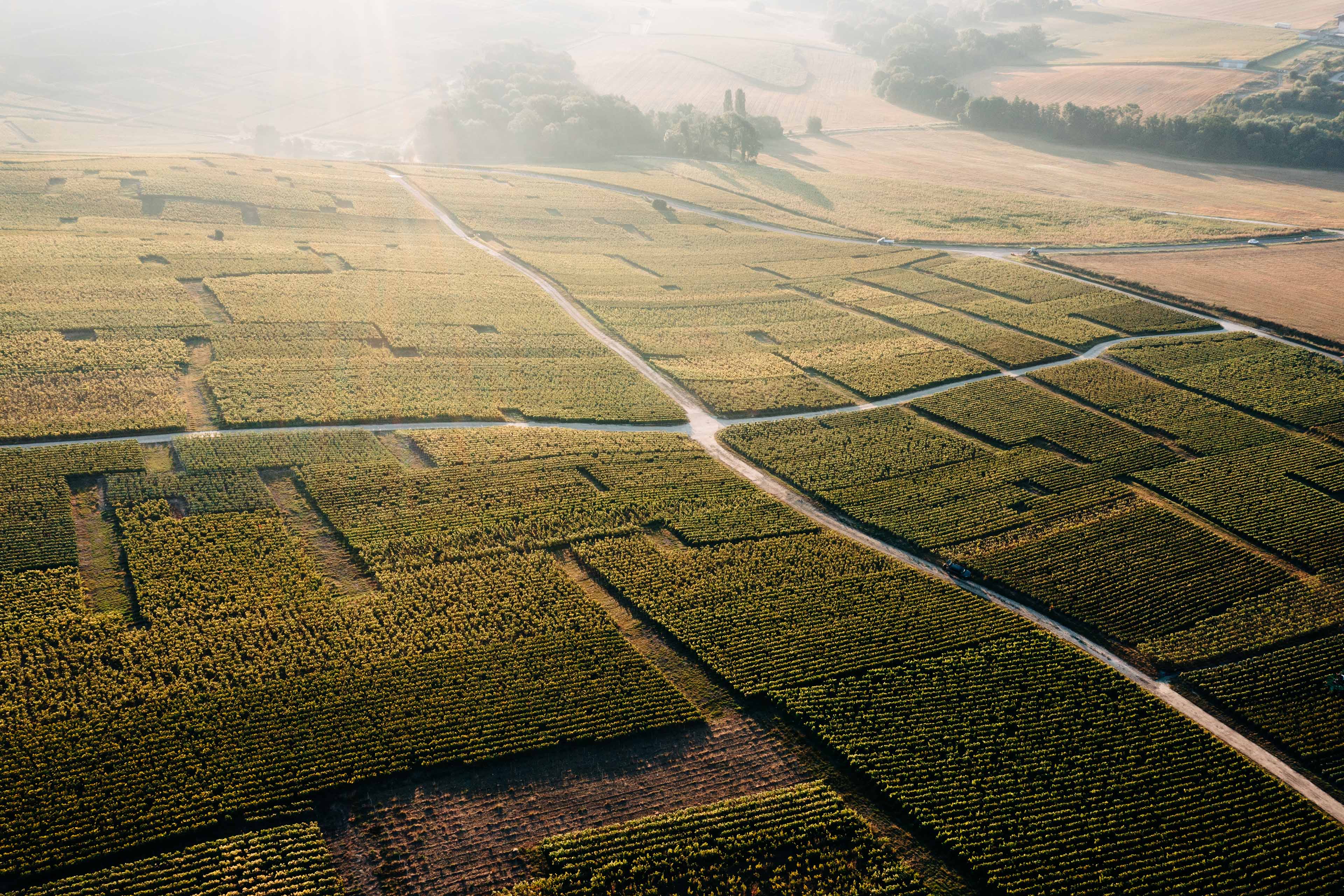 How to set your global strategy amid asymmetric globalization | EY - Global