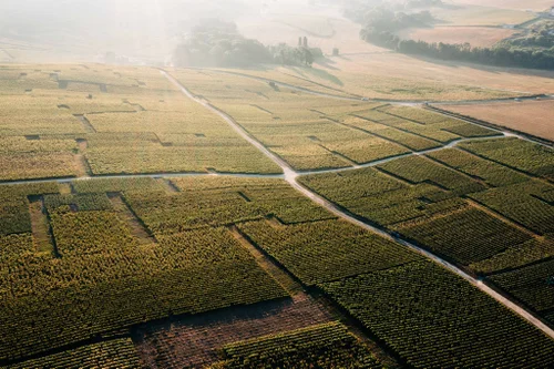 How to set your global strategy amid asymmetric globalization | EY - Global