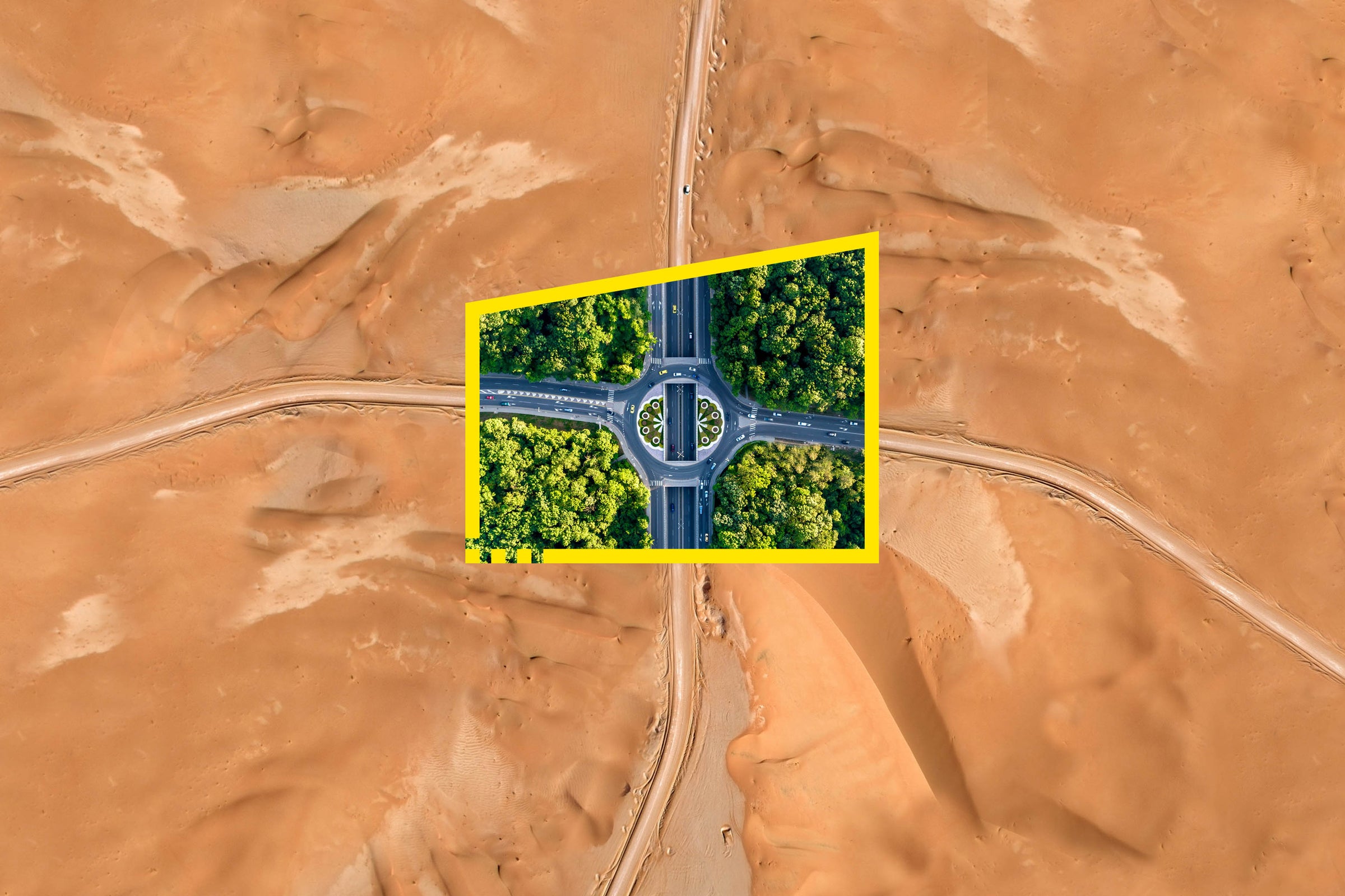 Transformation Delivery Solution | EY – Global | EY - US