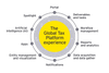 Global Tax Platform | EY México