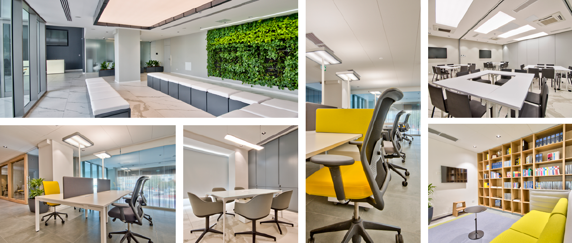 EY Student Programmes | EY - Global