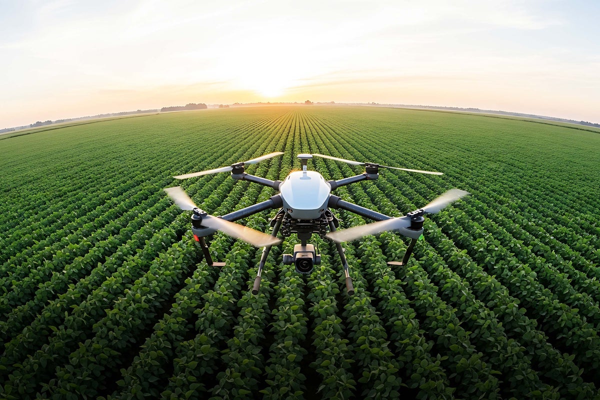 AgriTech innovation: Future-ready agriculture | EY - India