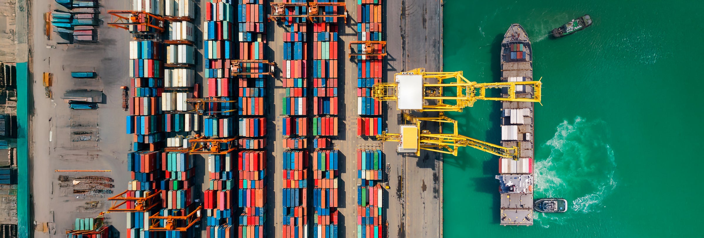 EY Global Trade Automation | EY - India