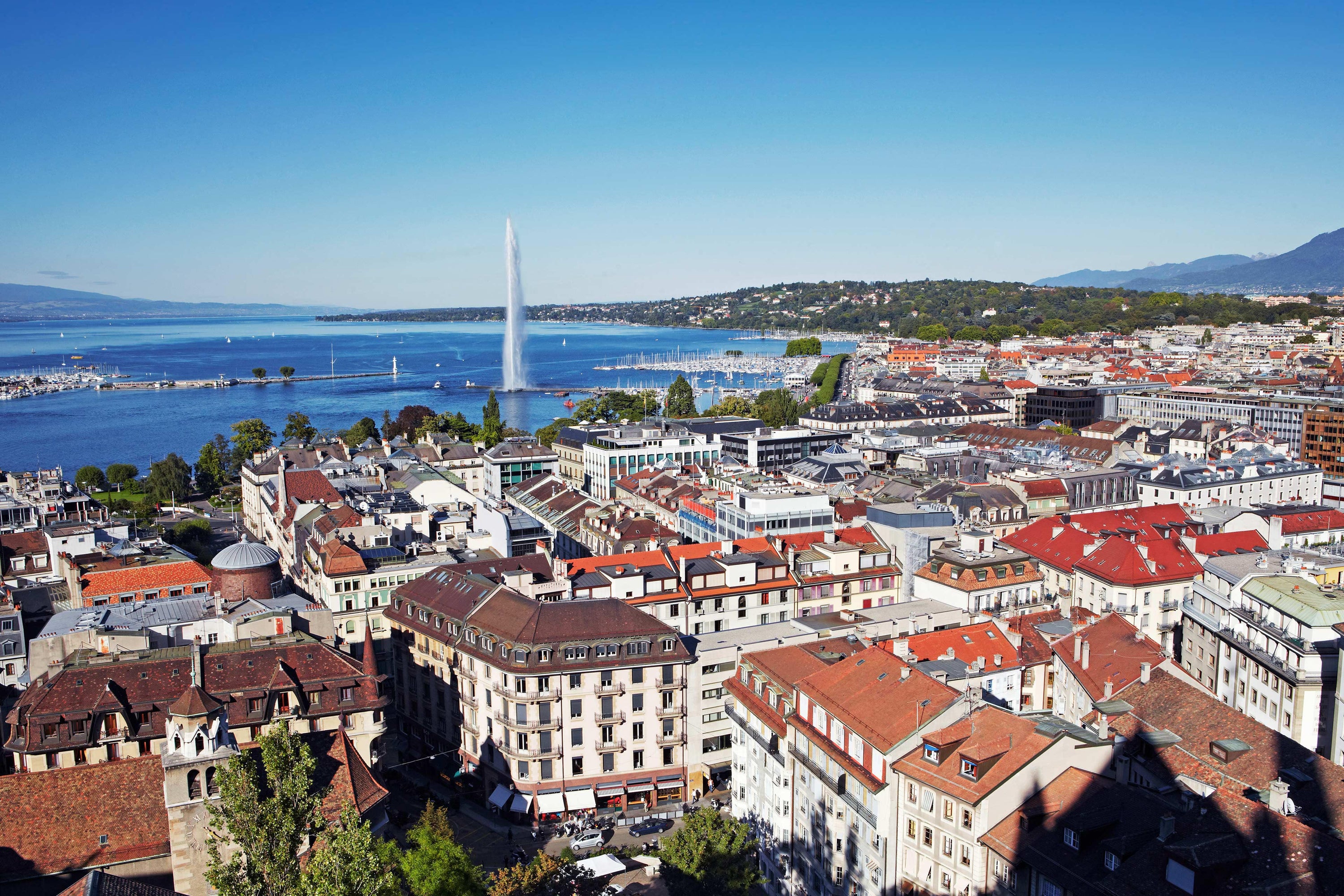 EY Schweiz | Home | Shape the future with confidence