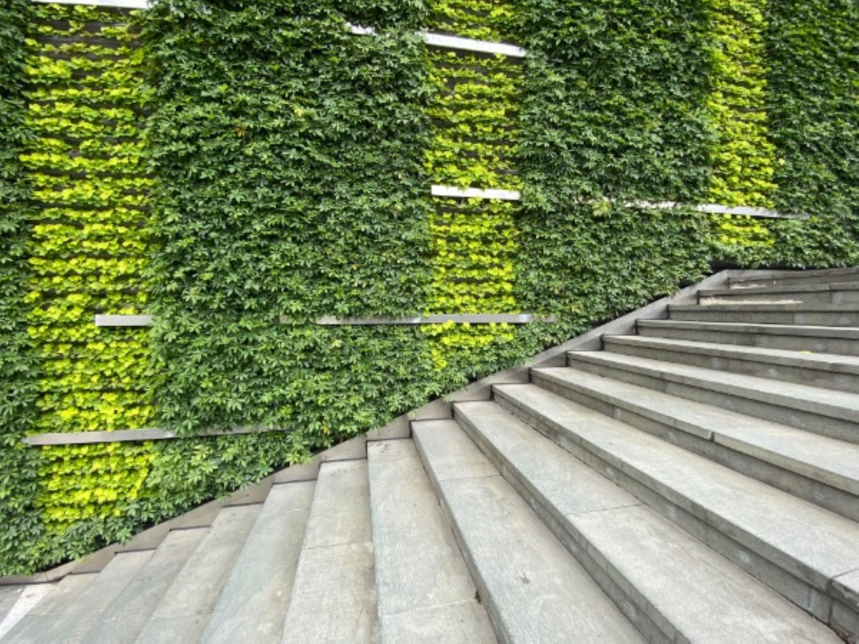 Aligning to the IFRS sustainability disclosure standards, IFRS S1 and ...