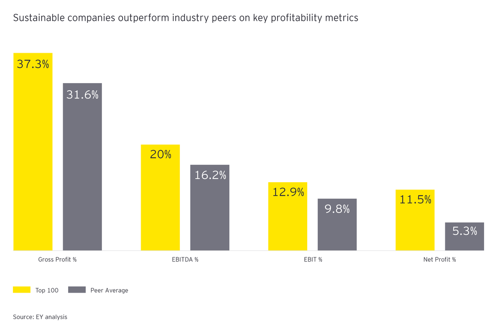 How to enhance long-term business value through sustainability | EY ...
