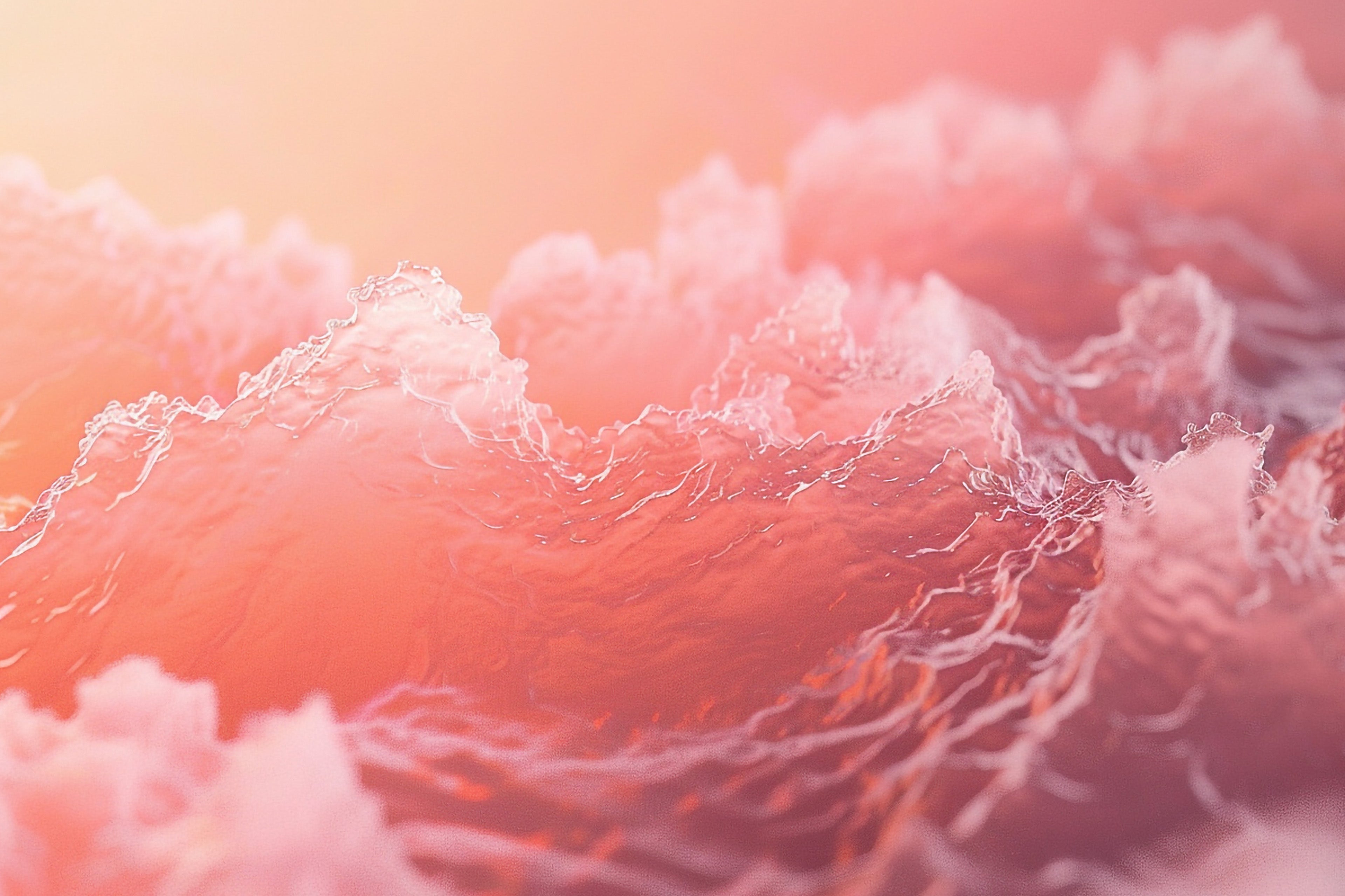 2025 EY Cybersecurity Study: Bridging the C-suite disconnect | EY - US