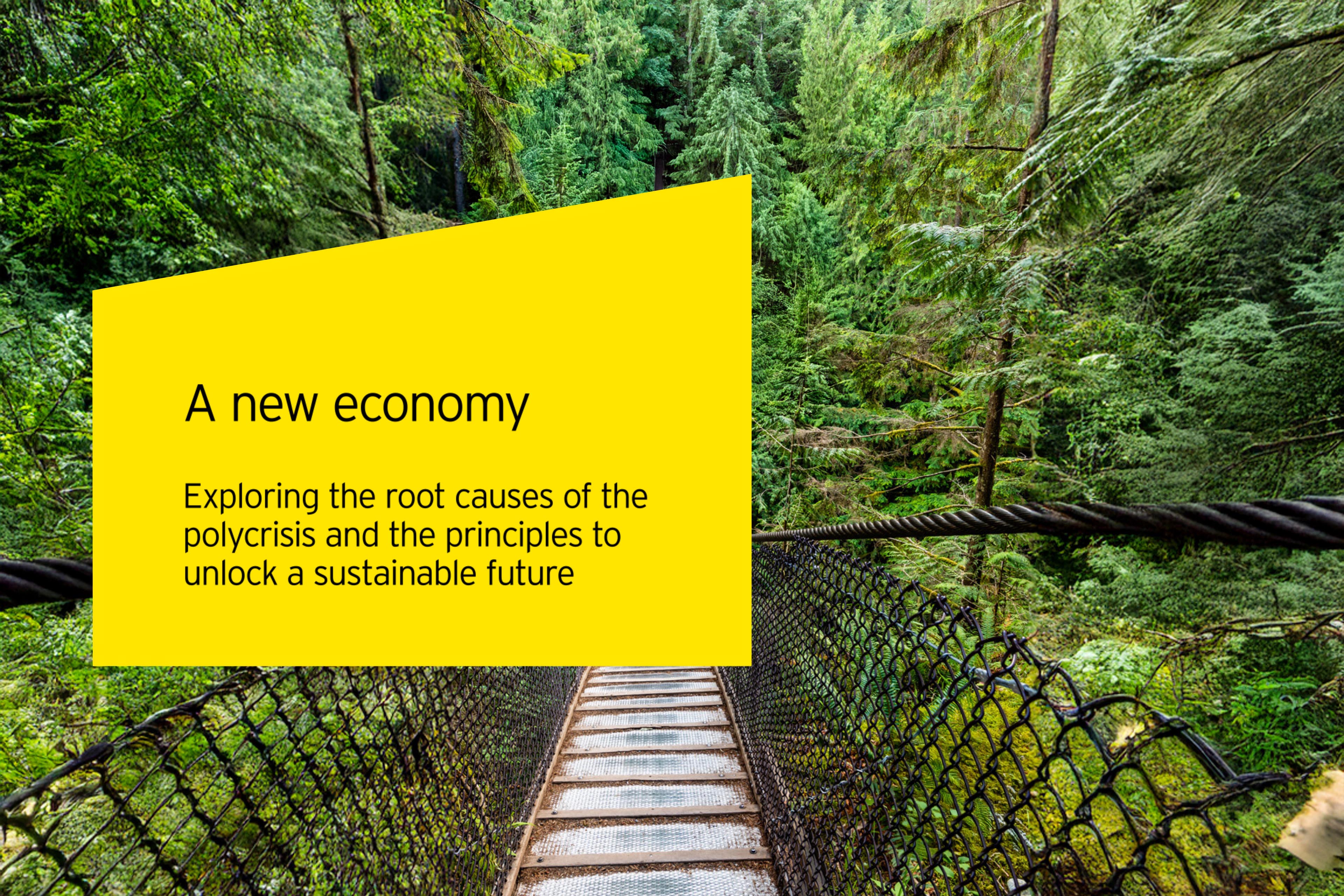 New economy report from EY: Sustainable business transformation | EY ...