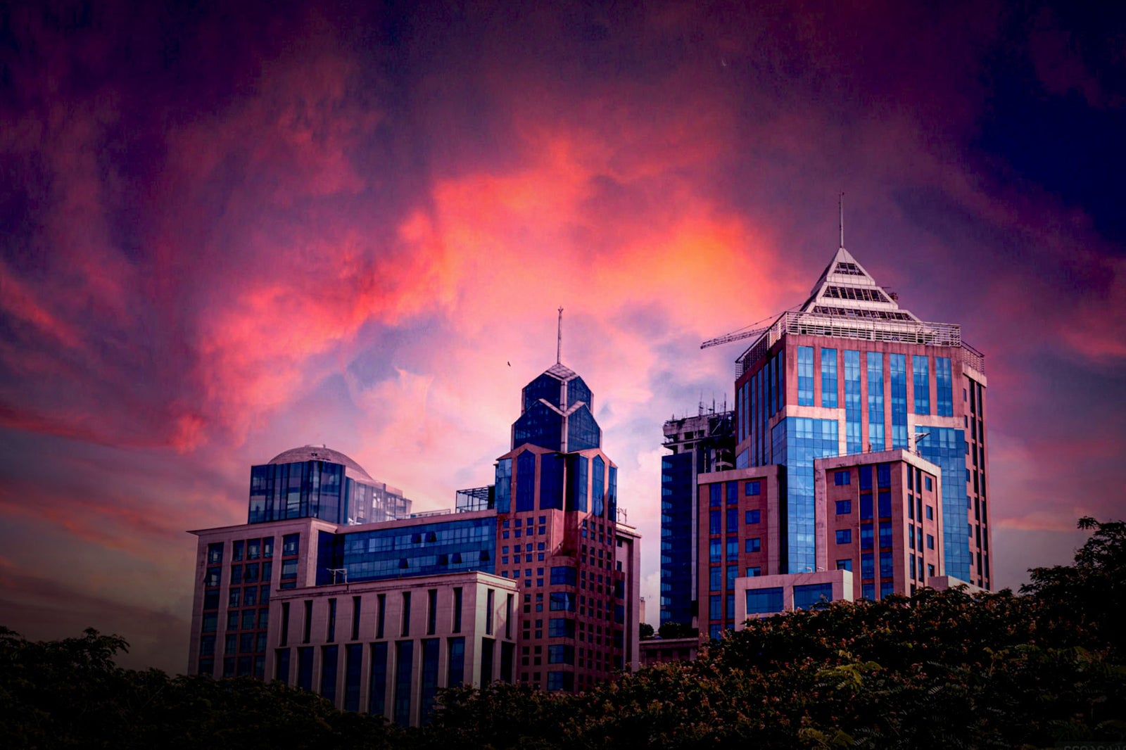 EY GCC Conclave 2024 – Bengaluru | EY - India